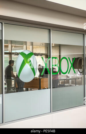 Employees playing ping pong game and Xbox logo on windows Inside the ...
