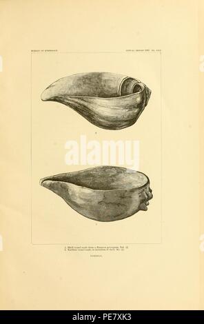 Art in shell of the ancient Americans Stock Photo - Alamy