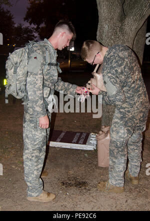 The coveted German Armed Forces Proficiency Badges in gold, silver and ...