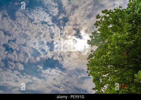 high contrast clouds on blue sky over natural landscape in summer at ...