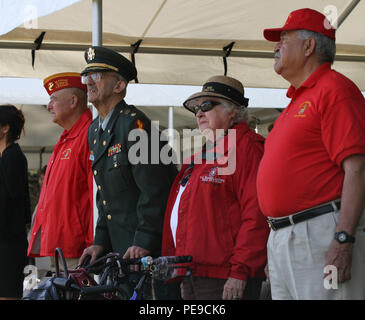 Col. Earl B. Higgins Jr., commander, 1st Stryker Brigade Combat Team ...
