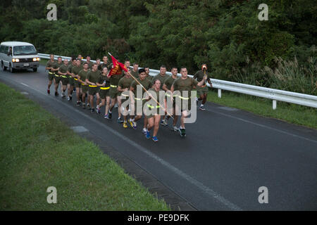 Lt. Col. Sarah Babbitt, 18th Security Forces Squadron commander, speaks ...