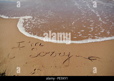 Word sorry written on white piece of paper with a red rose Stock Photo ...