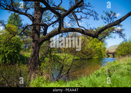 The river Devon near Alloa Scotland Stock Photo - Alamy