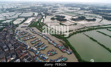 Jiangmen. 14th Aug, 2018. Photo taken on Aug. 14, 2018 shows vessels ...