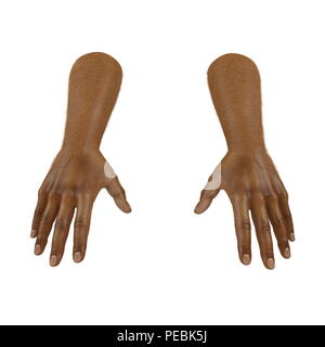 Man Hands Swarthy Skin on white. 3D illustration Stock Photo - Alamy