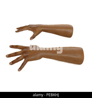 Man Hands Swarthy Skin on white. 3D illustration Stock Photo - Alamy