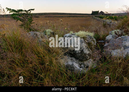 A Cornish hedge is a style of hedge built of stone and earth found in ...
