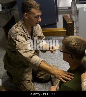 Arlington, United States. 26th Aug, 2023. Dallas Cowboys cheerleader ...