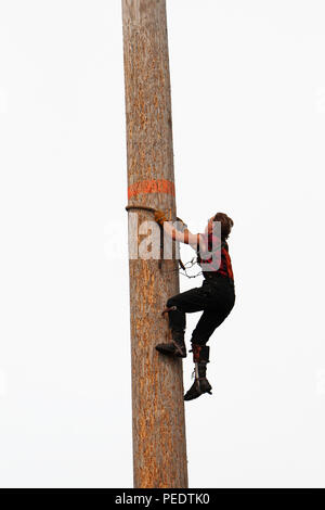 A lumberjack races up a pole in a competition Stock Photo - Alamy