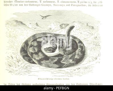 Image from page 577 of 'Amerika eine allgemeine Landeskunde. In ...