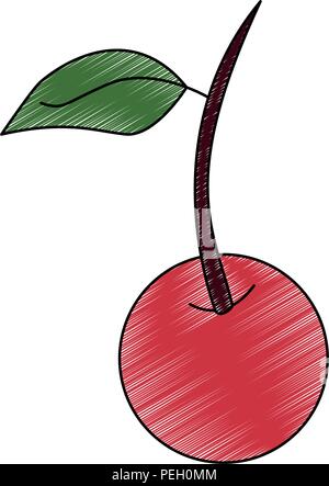 Cherry natural fruit scribble Stock Vector Image & Art - Alamy