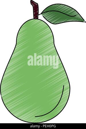 Pear natural fruit scribble Stock Vector Image & Art - Alamy