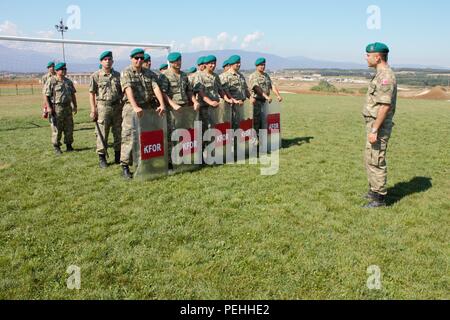 The Order of Battle of the Turkish Army, The Turkish army prepares for ...