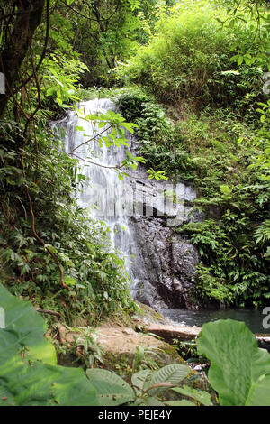 Beautiful calm scene with waterfall in spring Japanese garden. Japan ...