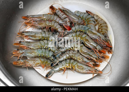 Fresh seafood shrimps crustaceans catch Stock Photo - Alamy