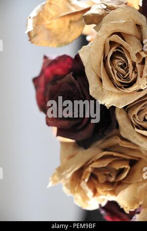 bouquet of dried red roses on black background. Concept of passing of ...