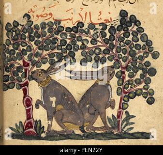 Kitab al-Hayawan (Book of Animals), 9th century Arabic text by Al-Jahiz ...