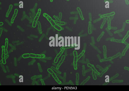 Streptococcus pneumoniae, or pneumococcus, is a gram-positive bacteria ...