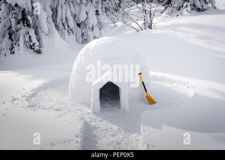 Real snow igloo house in the winter Carpathian mountains. Snow-covered ...