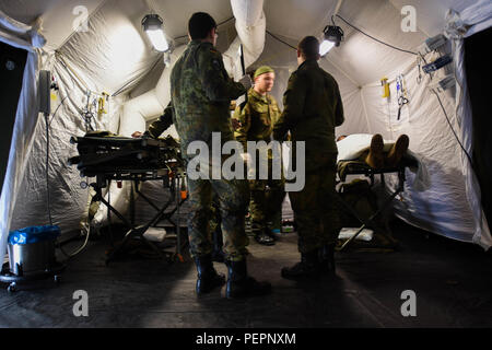 Bundeswehr medical providers at the Role 1 assess Pfc. Katia Blake, U.S ...
