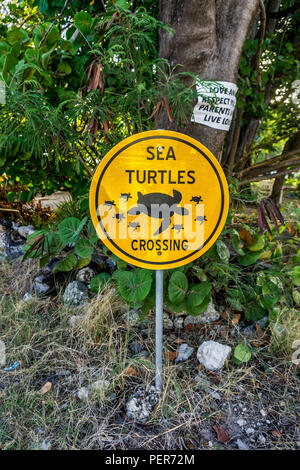Barbados sea turtles crossing sign signage warning highway code ...