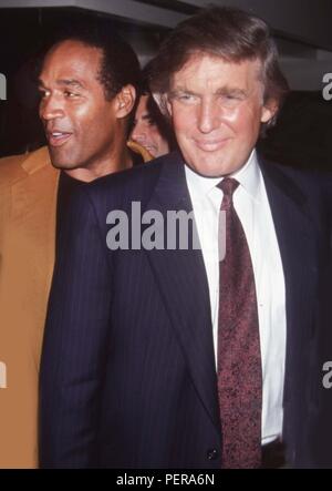 Donald Trump OJ Simpson 1993 Photo By John Barrett/PHOTOlink/MediaPunch ...