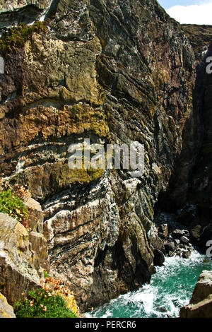 Patterns in cliff face formed from petrified forest are seenÂ at Curio ...