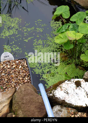 Pipe ready to top up water into a cottage small pretty garden pond in ...