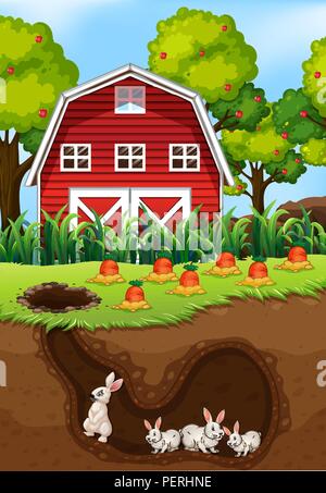 Rabbit House Underground the Farm illustration Stock Vector Image & Art ...