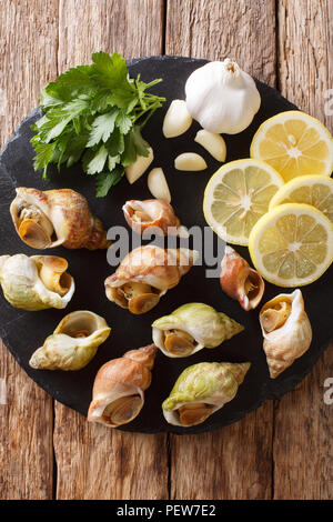 French cuisine: sea snails bulot with garlic sauce and lemon close-up ...