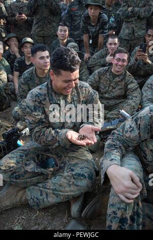 U.S. Marine Corps mortarman with Alpha Company, 1st Battalion, 1st ...