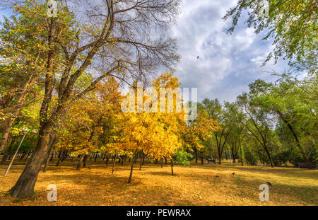 Autumn in city park, Almaty, Kazakhstan Stock Photo - Alamy