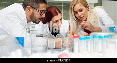 Scientist prepare sample for experiment Stock Photo - Alamy