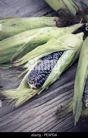 mini blue sweet corn with leaves Stock Photo - Alamy