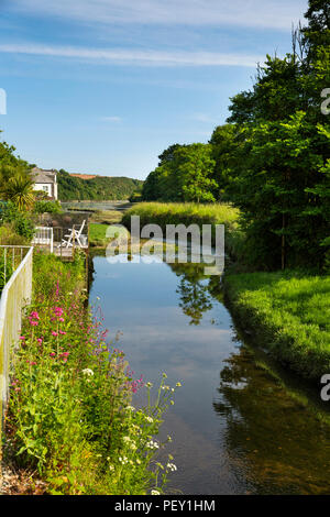 UK Cornwall Little Petherick village St Petrocs church next to the ...