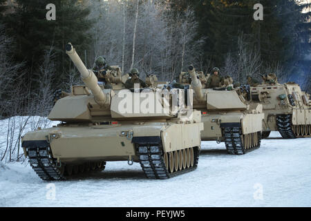 Members of the Norwegian Army's Telemark Battalion chop wood for a ...