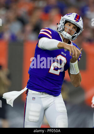 Buffalo Bills quarterback Nathan Peterman (2) during the second half of ...