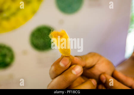 Siem Reap Silk Factory with one hand holding up silk cacoon Stock Photo ...