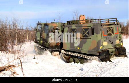 An M973A1 Small Unit Support Vehicle or SUSV, clad in emergency Stock ...
