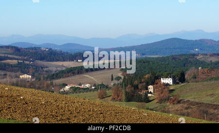 Wineyard located in Siena, Italy in the winter Stock Photo - Alamy