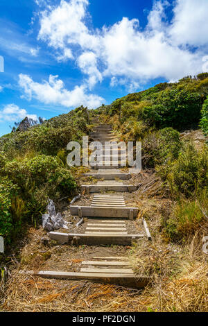 hiking the mangorei track,mount egmont national park, mount taranaki ...