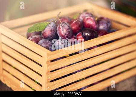 Fresh plums in a wooden box. On a wooden background Stock Photo - Alamy