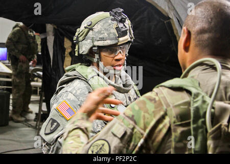 Lt. Col. Lynn Ray, the first commander of Regimental Engineer Squadron ...