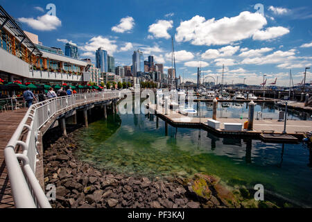 View of Seattle's Waterfront from Bell Street Pier and Conference ...