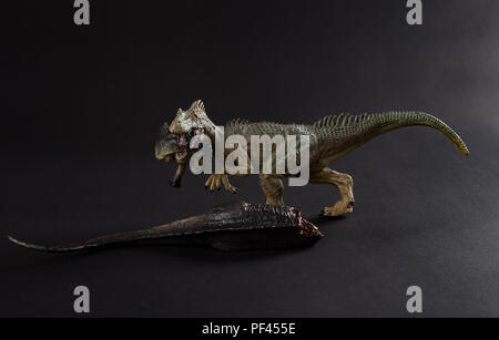 allosaurus biting a dinosaur body with blood on white Stock Photo - Alamy