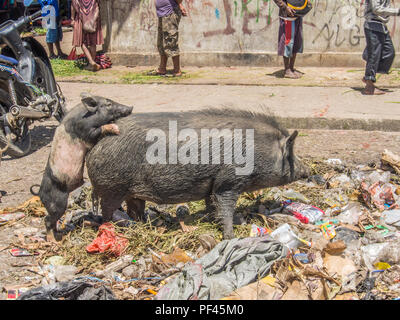 Korowai tribe family in the jungle. Tribe of Korowai (Kombai , Kolufo ...