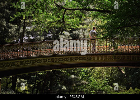 Pine Bank Arch cast-iron bridge, Central Park, West Side at 62nd Street ...