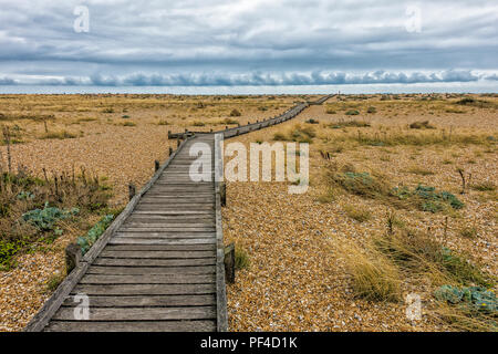 The Boardwalk,Dungeness,Shingle,Beach,Bleak Landscape,Kent,UK Stock ...