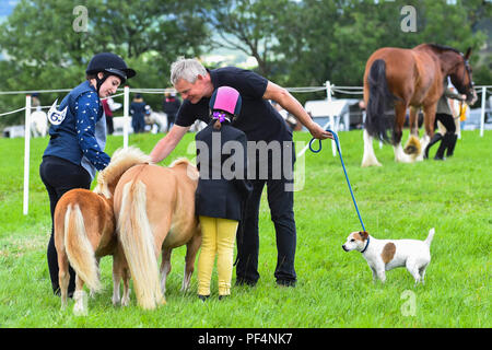 Martin Clunes home, West Dorset, Britain, UK Stock Photo - Alamy